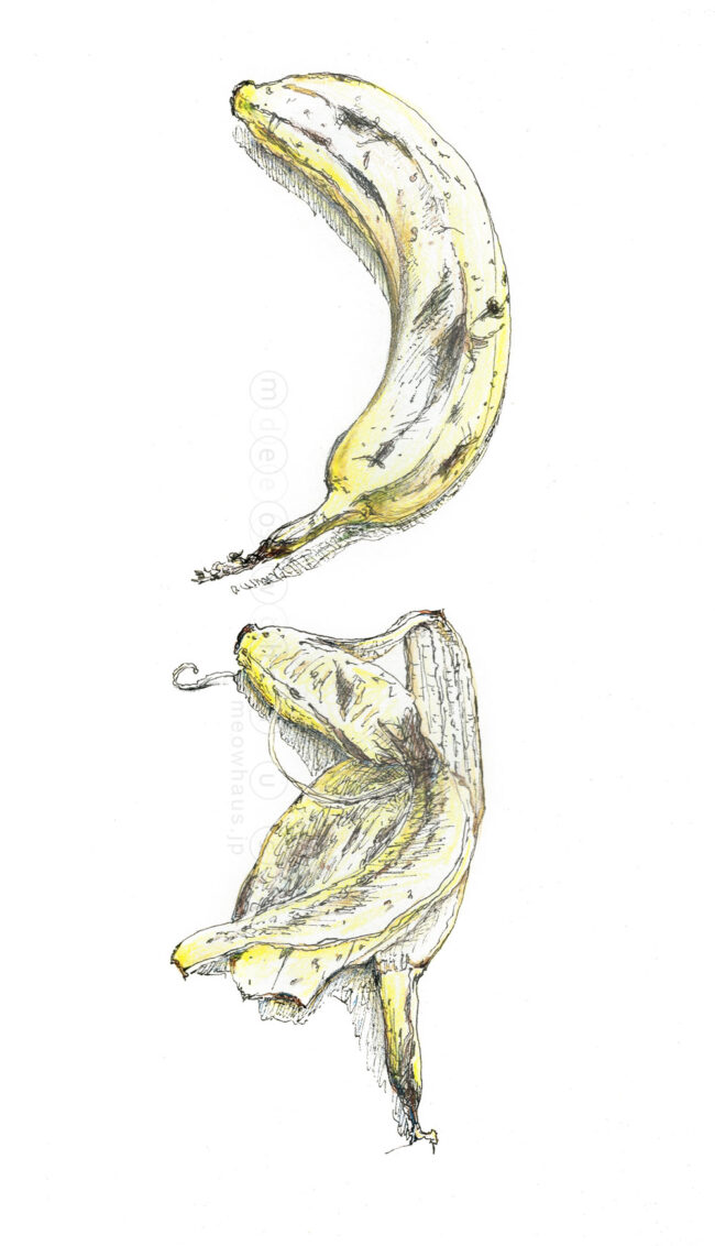 Banana before and after | Meowhaus Design